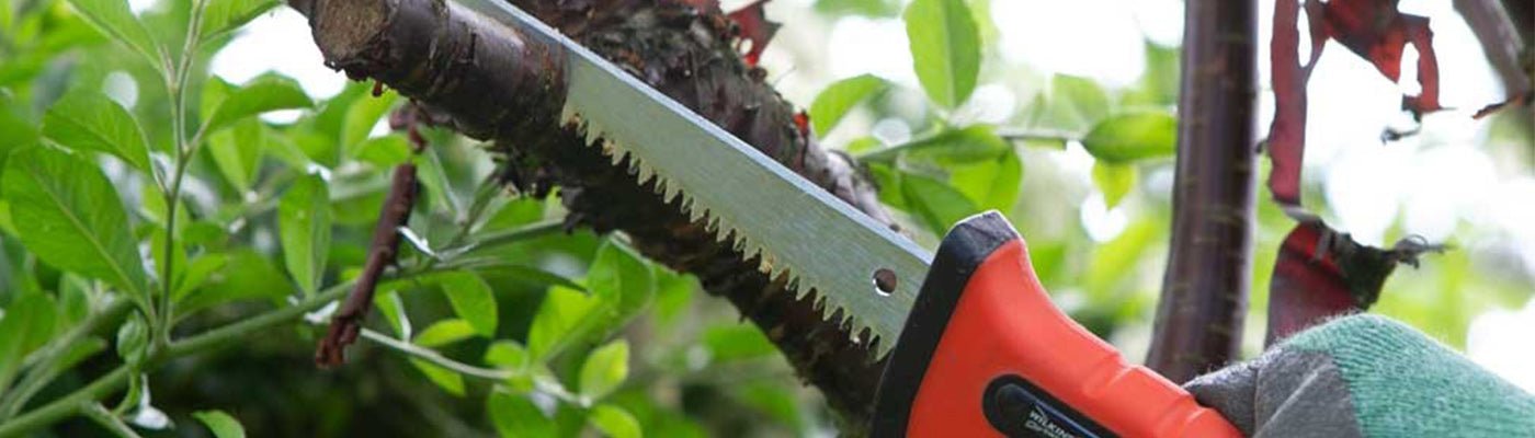 Pruning Saw | Log Splitting Axe | Home & Garden Extras