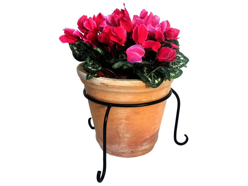 Plant Pot Ring | For Potted Plants & Flower Pots — Home & Garden Extras