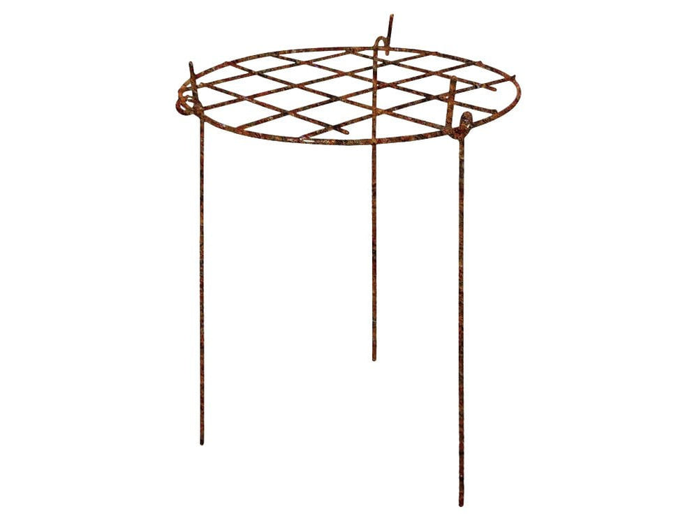 Metal Plant Supports & Plant Support Frames | Home & Garden Extras