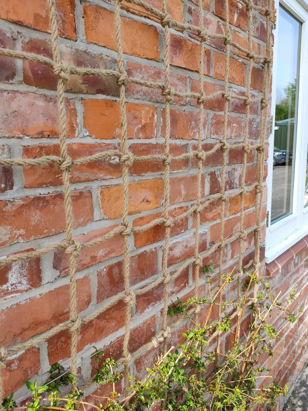 Rope Trellis - Garden Plant Support — Home & Garden Extras